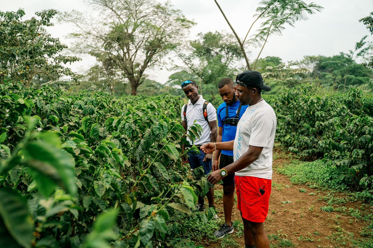 Local experiences - Weru Weru River Lodge